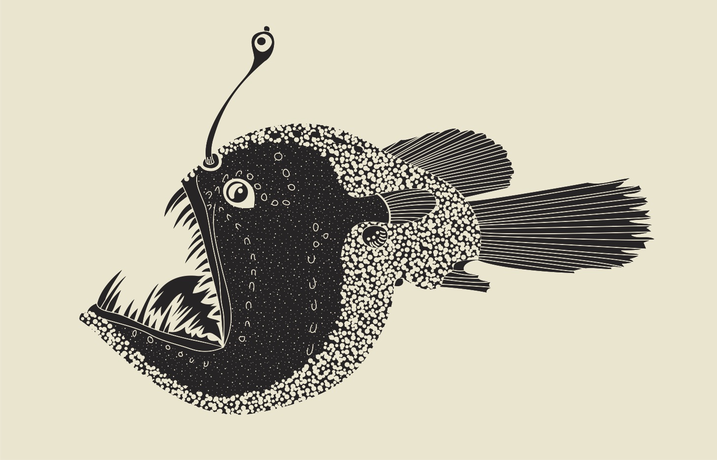 Something's phishy: How to detect phishing attempts | Malwarebytes Labs