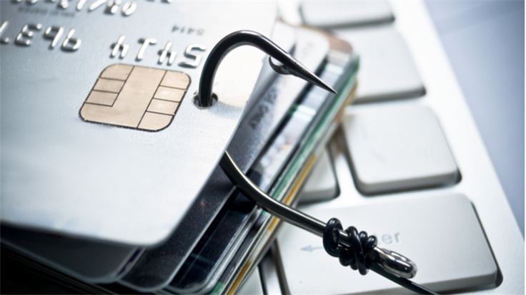 Web skimmer phishes credit card data via rogue payment service platform ...