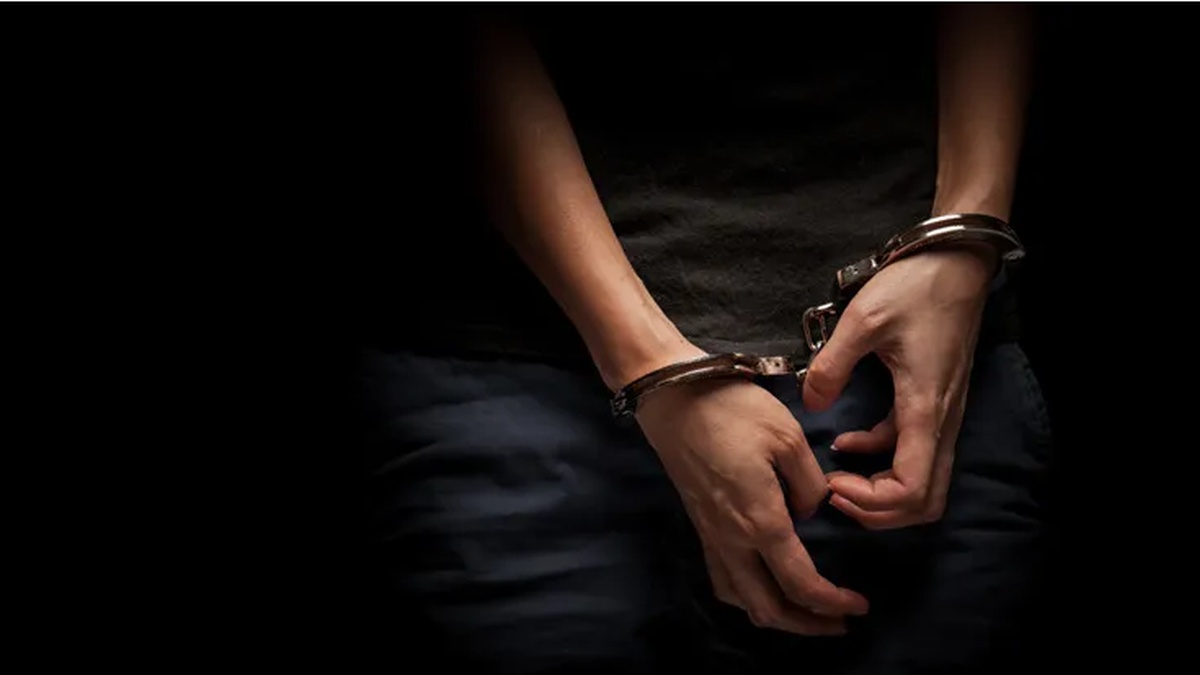 Raccoon Infostealer operator extradited to the United States | Malwarebytes