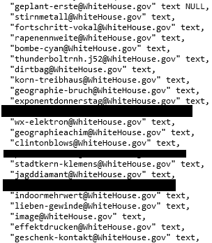 SpaceX, CNN, and The White House internal data allegedly published ...