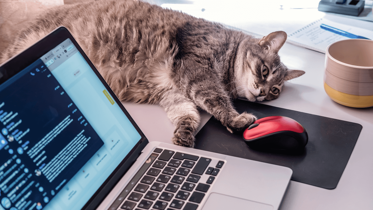 Is your computer mouse eavesdropping on you? | Malwarebytes