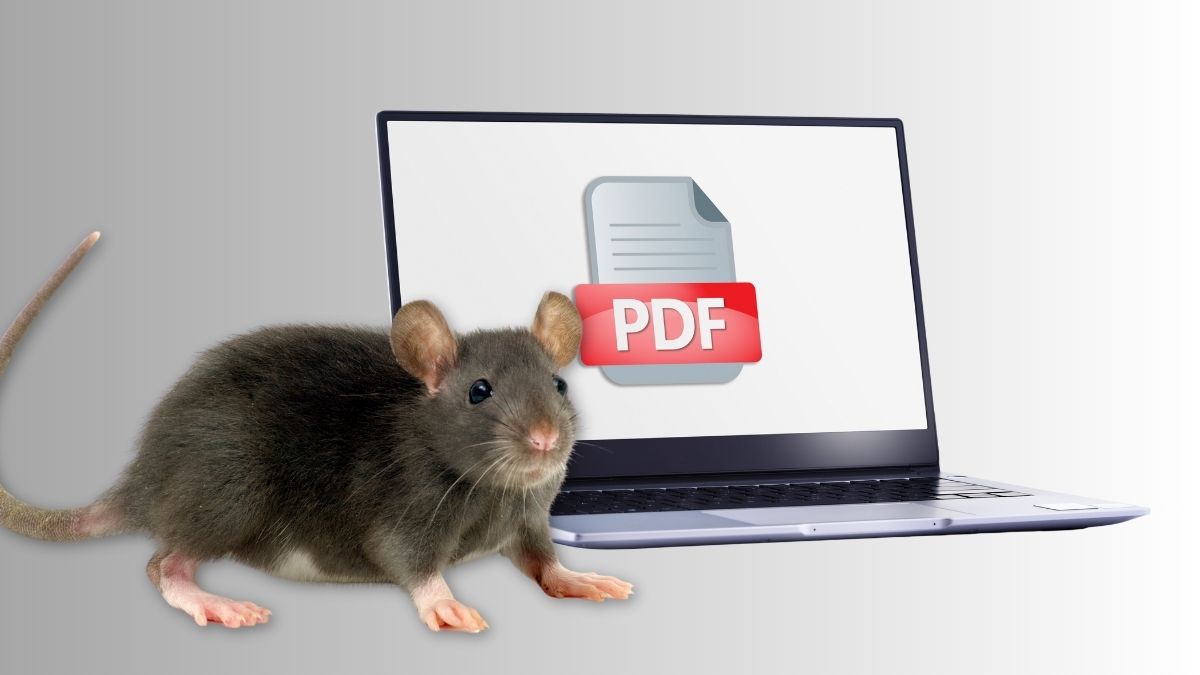 Se apri il "PDF" sbagliato, gli hacker possono accedere al tuo PC da ...